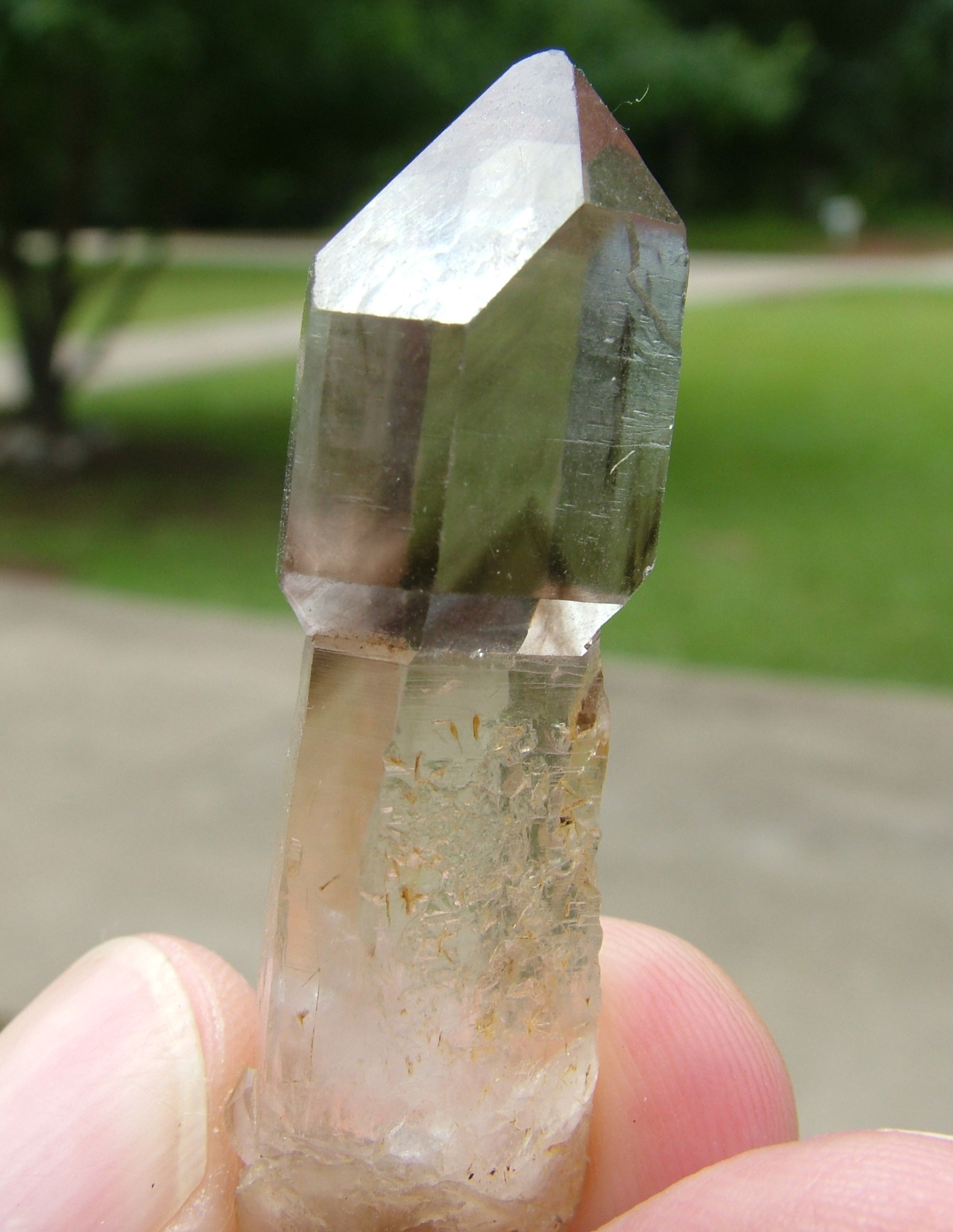 hallelujah-junction-scepters