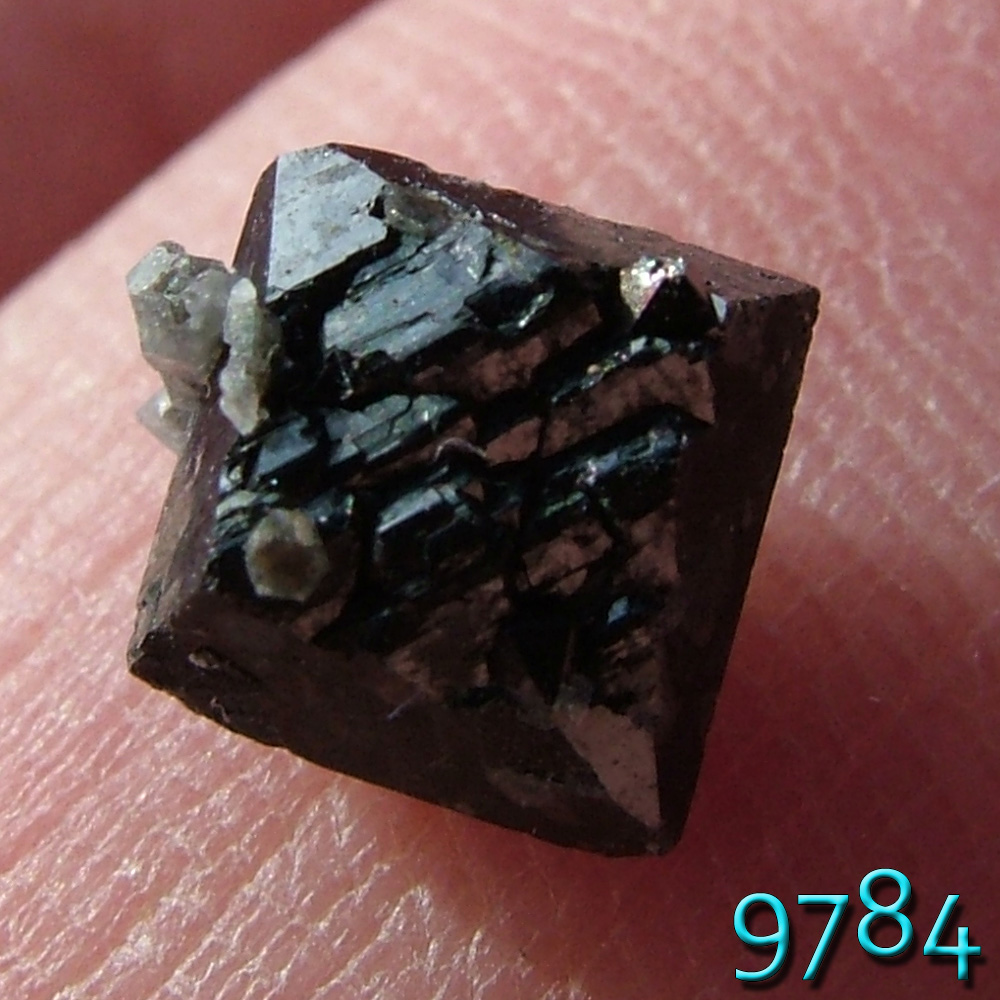 BROOKITE CRYSTALS - Magnet Cove Arkansas