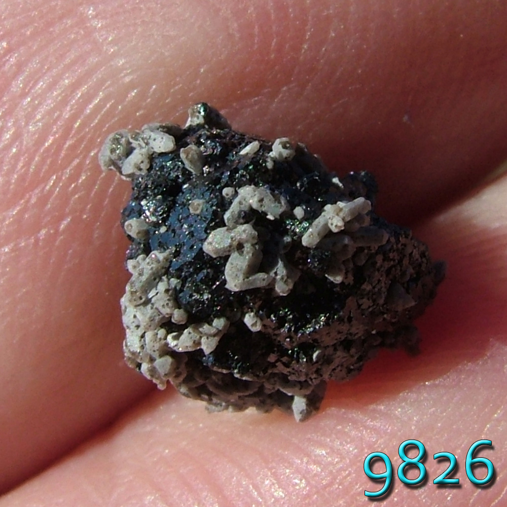 BROOKITE CRYSTALS - Magnet Cove Arkansas